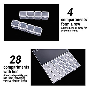 Segbeauty Gem Organizer, Clear Bead Container 28 Compartments with Secure Lids, Removable Tiny Jewelry Storage Box, Transparent Jewelry Organizer for Seeds Craft Making Accessories