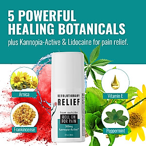 Instant Pain Relief Roll-On with 4% Lidocaine・230400mg Hemp Extract (=300mg KannopiaActive)・Post Surgery & Injury Support・Arnica・Doctor Recommended for Nerve・Joint・Sciatic Health・Free Sample* (2Pack)