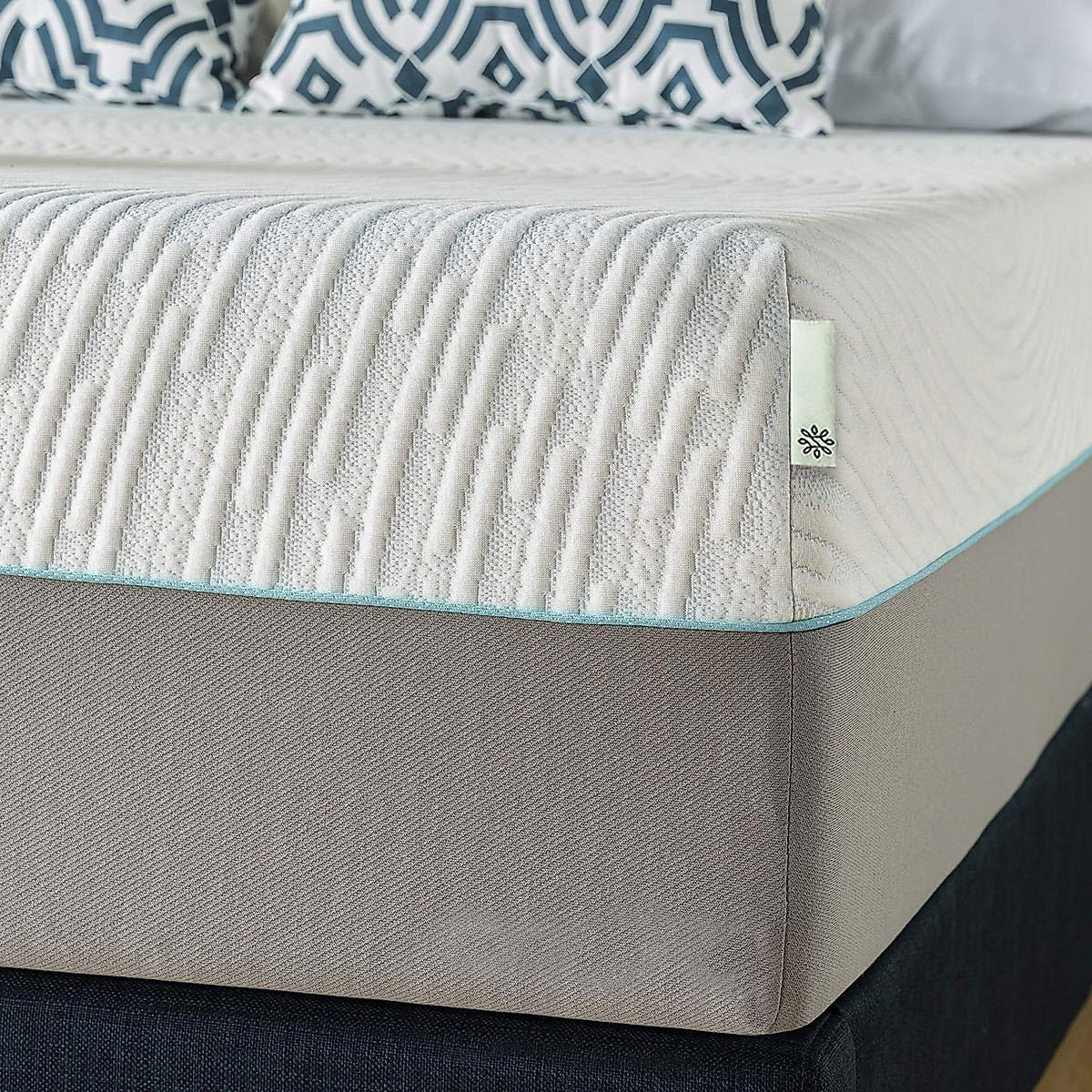 Zinus 13 Inch Green Tea Pressure Relief Memory Foam Mattress/Zoned Airflow Design/CertiPUR-US Certified/Bed-in-a-Box, Queen