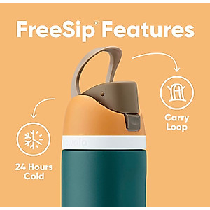 Owala FreeSip Stainless Steel Boneyard Bottle 40oz, 1 EA