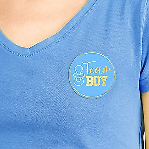 Baby Nest Designs - Gender Reveal Stickers Games Team Boy & Team Girl (80 Pieces) - Perfect Gender Reveal Party Supplies - Gold Foil Stamping - Hand-Drawn Art in The USA - Easy Peel-Off