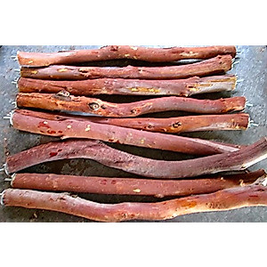 Manzanita Perches Set of Two 24" Two Feet Long