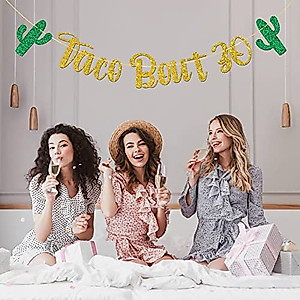 MonMon & Craft Taco Bout 30 Banner / Mexican Fiesta Themed 30th Birthday Banner / Cactus Adios to My 20's Birthday Party Decorations Gold Glitter