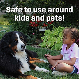 Exterminators Choice - Scorpion Defense Spray - 1 Gallon - Natural, Non-Toxic Scorpion Repellent - Quick and Easy Pest Control - Safe Around Kids and Pets