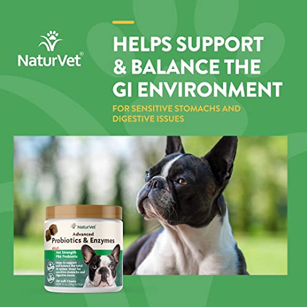 Veterinarian Strength Advanced Probiotics, Healthy Enzymes and PB6 Probiotic Supplement For Your Dogs Stomach, Intestine, Digestion and GI Tract health, Made by NaturVet, 120 Soft Chews