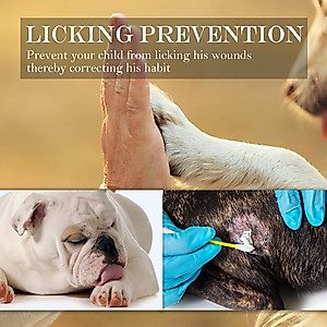 Recovery Suit for Dogs Front Leg, Dog Recovery Suit Female/Male Pet Arm Sleeve, Surgical Suit Cone Collar Alternative, M