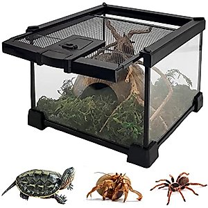 Hamiledyi Mini Reptile Glass Terrarium Tank,8"x8"x6" Hermit Crab Breeding Box Transparent Jumping Spider Enclosure Small Amphibians Habitat Cage for Baby Snake Gecko Lizard Tarantula