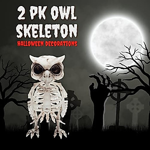 SCS Direct Owl Halloween Skeleton (2 Pack)-6.5" Long Weather Resistant Yard Fall Decorations-Graveyard Prop for Haunted House Party Decor and Indoor/Outdoor Use, School Classroom Decoration