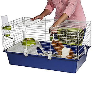 MidWest Homes for Pets Critterville Cleo Guinea Pig Cage | Includes All Accessories, Blue, Large (171CL)