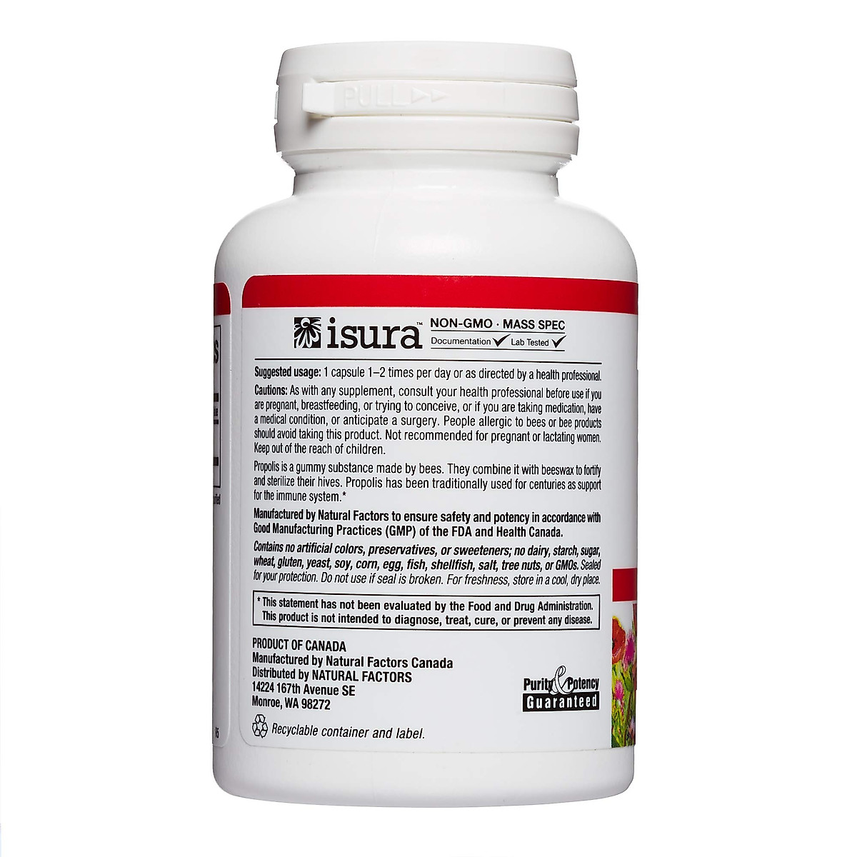 Natural Factors, Bee Propolis Extract 500 mg, Supports a Healthy Immune System, 90 capsules (90 servings)