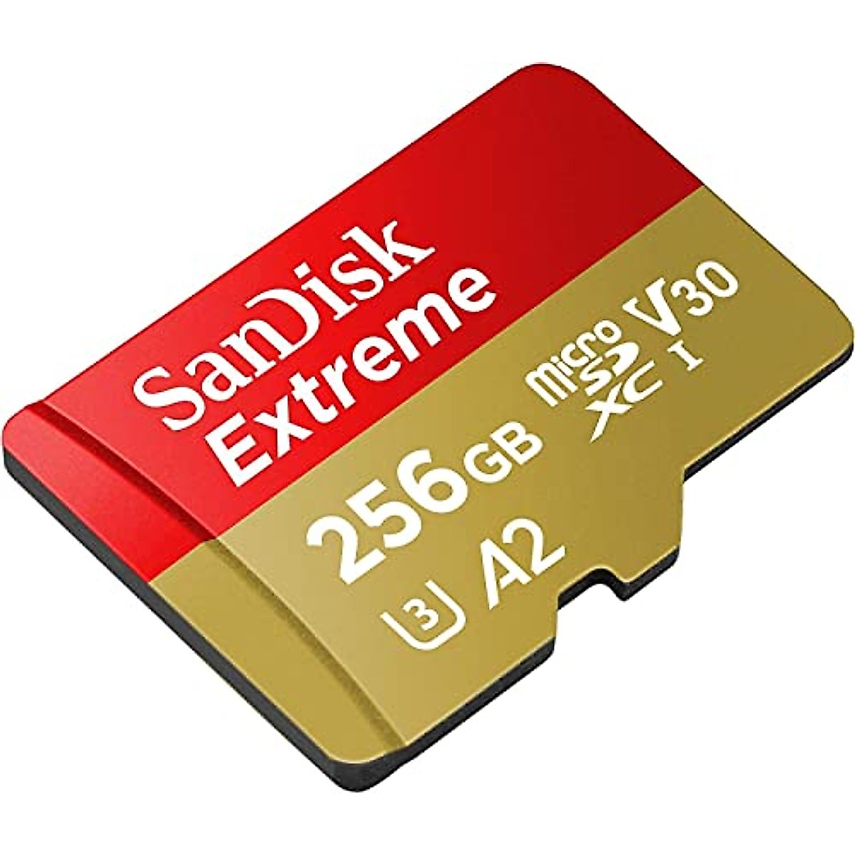 SanDisk Extreme 256GB Micro SD Memory Card for GoPro Works with GoPro Hero 9 Black Camera UHS-1 U3 / V30 A2 4K Class 10 (SDSQXA1-256G-GN6MN) Bundle with 1 Everything But Stromboli MicroSD Card Reader