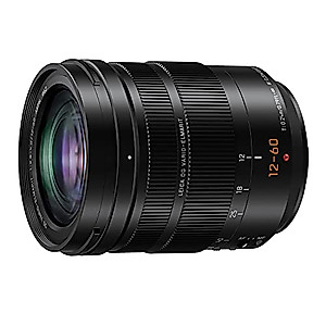 Panasonic LUMIX DC-GH5LK GH5 4K Mirrorless Camera with Leica DG 12-60mm Lens with Rode Microphones Wireless GO II Wireless Mic System and Accessory Bundle (5 Items)