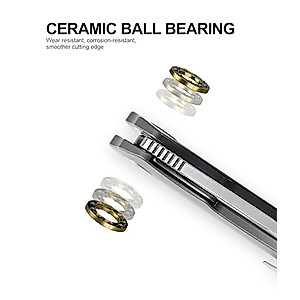 Petrified fish PFP03 Victor,3.58" K110 Satin Blade,140g Micarta Handel Flipper Liner lock Folding knife (Blue Satin)