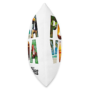 Pura Vida Costa Rica Throw Pillow