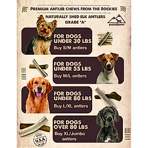 peaksNpaws Premium All-Natural Grade A Elk Antlers for Dogs No Additives, No Preservatives Treat - Made in USA (Small/Medium)