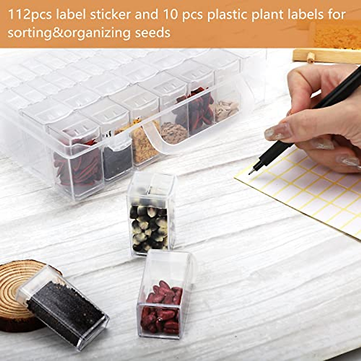 OPELETNNT 48 Slots Plastic Seed Storage Organizer Box in 2 Size,Transparent Reusable Seed Container Organizer with Label Stickers, Garden Seed Storage Organizer Container for Seeds, Plant, Vegetable