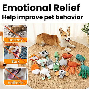 Petinstinct Large Squeaky Dog Toys for Aggressive Chewers, Indestructible Rope Plush Dog Chew Toys for Small Medium Large Dogs, Tough Tug of War Dog Toys to Keep Them Busy, 18 Inch, Raccoon