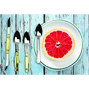 RSVP International Endurance Grapefruit Tool Collection Stainless Steel, Dishwasher Safe, Double Knife