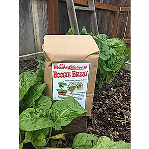 Boogie Brew Compost Tea 2 Part Formula, 3 Pounds. The Organic Compost Tea That Combines 17 Powerful Ingredients and 1 Pound Boogie Black Bundle
