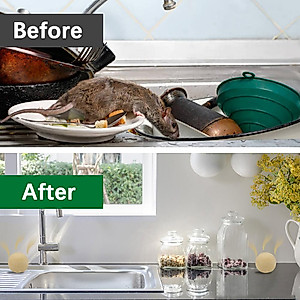 SUAVEC Rodent Repellent, Mice Mouse Repellent Peppermint, Rat for House, RV Deterrent, Away Repellant Campers, Mint - 8 Packs Rodent-8PGreen