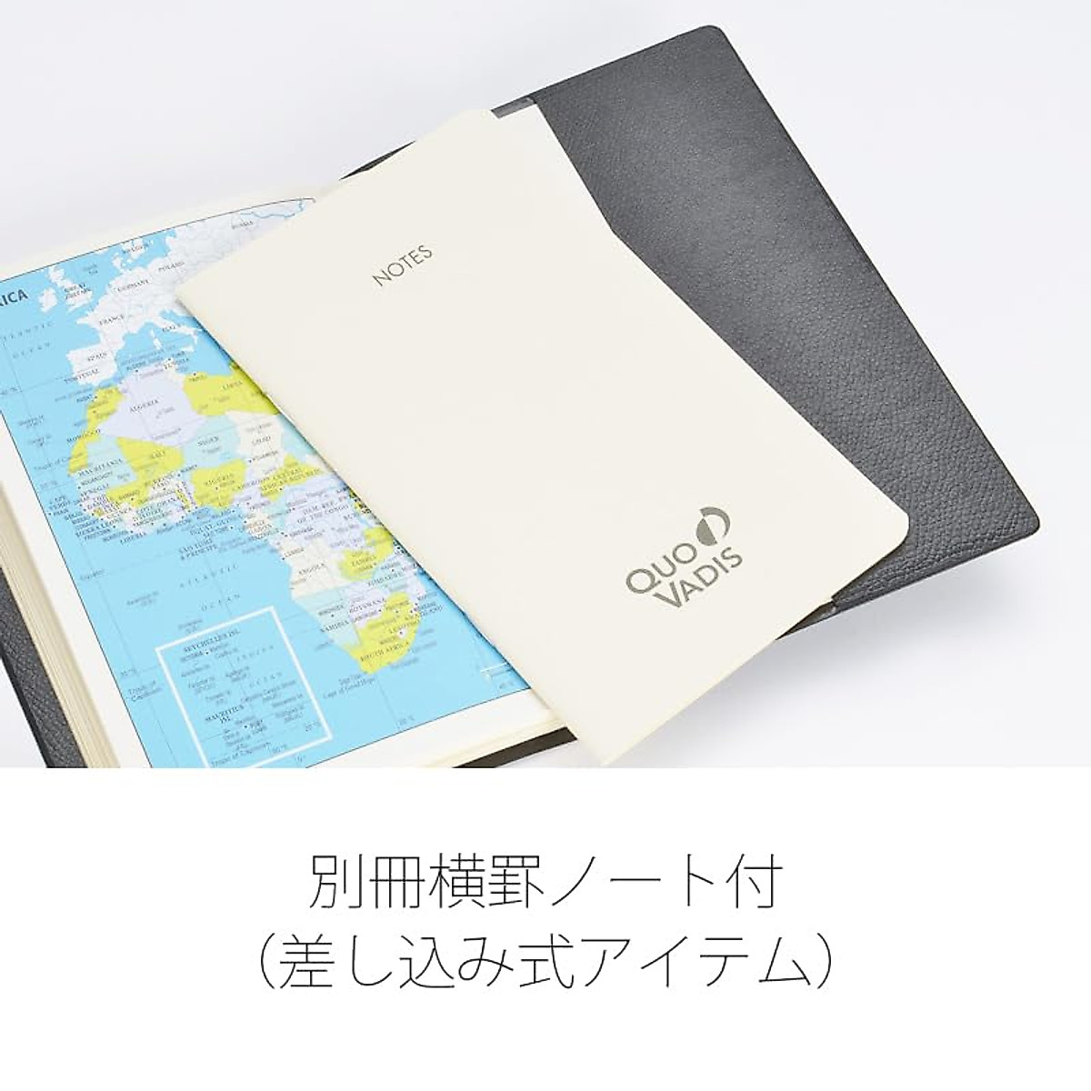 Quo Vadis QV28502ap Diary (Business Prestige/Club) (Weekly Vertical, Begins December 2023, A6 Transformation, 3.9 x 5.9 inches (10 x 15 cm)), Apricot (2024 Edition)