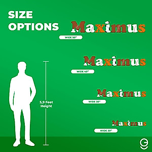 EGD Custom Name with Initial and Sports Balls Design Wall Decal I Soccer Baseball Basketball Football Wall Art Decor I Nursery Wall Stickers I Home Nursery Decoration (Wide 40" (Shown) (Large))