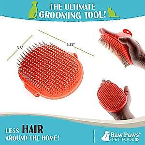 Raw Paws Pet Hand-Held Rubber Tipped Pin Brush for Dogs & Cats - Grooming Brush for Dogs Shedding - Dog Brushes for Grooming Large Dogs & Small Dogs - Bath Brush for Dogs with Short Hair & Long Hair