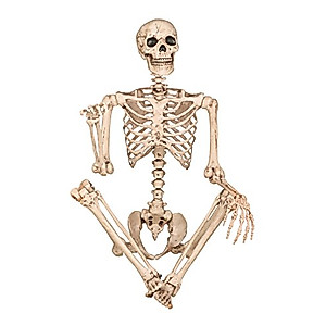 Crazy Bonez Pose-N-Stay Skeleton