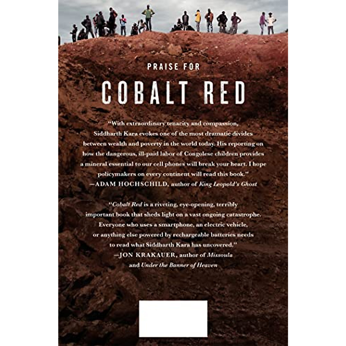 Cobalt Red: How the Blood of the Congo Powers Our Lives
