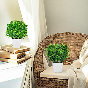 Artflower 2 Pack Artificial Eucalyptus Plants in Pots Mini Green Faux Potted Plants with Plastic White Vase Fake Aloe Grass for Home Indoor, Office, Desk, Table Bathroom Bedroom Decor