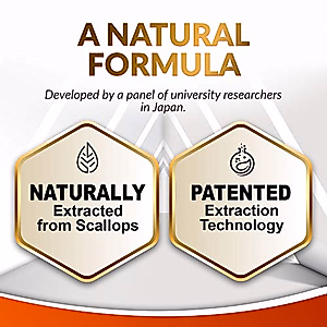 LABO Nutrition VesseCLEAR EX + NeuroREGAIN: Nattokinase NSK-SD, Elastin F for Clean & Flexible Blood Vessel, Cardiovascular & Circulation Support, Scallop-derived PLASMALOGEN for Brain Deterioration