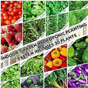 Hydroponics Tower Garden Hydroponic Growing System Growing Kit for Fruits and Vegetables with Hydrating Pump, Adapter, Net Pots, Timer for Herbs, Fruits and Vegetables(Color:15holes,Size:)