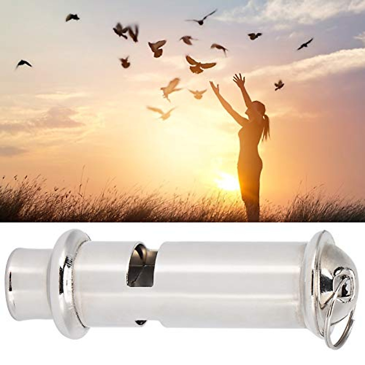 LZKW Pigeons Whistle, Silver Training Whistle, with Lanyard Mini Portable Anti‑Corrosion for Pigeons for Young Pigeons for Bird for Homing Pigeon