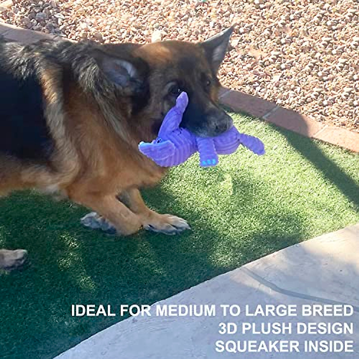 Jalousie 5 Pack Tough Plush Animal Dog Toys Assortment Value Bundle Dog Squeaky Toys Assortment Puppy Pet Mutt Dog Toy Dog Squeak Toy for Medium Large Dogs