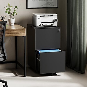 Warmiehomy Metal Mobile File Cabinets for Home Office 2 Drawer Filing Cabinet with Lock Rolling Office File Cabinet fits A4/Letter/Legal Size Fully Assembled (Black)