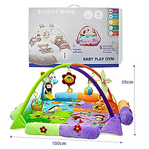 Baby Play Gym Activity Mat - Baby Gyms with 5 Sensory Toys and 1 Gym Mat for Sensory and Motor Skills Development Language Exploration for Baby Multiple Development Gifts for Toddlers