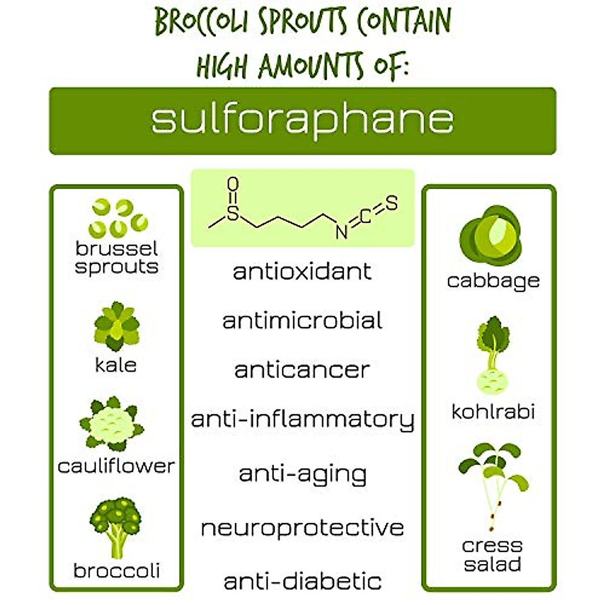 Organic Broccoli Sprouting Seeds By Handy Pantry | 8 oz. Resealable Bag | Non-GMO Broccoli Sprouts Seeds, Contains Sulforaphane