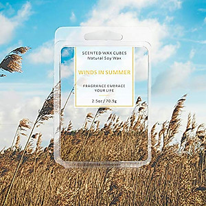 SCENTORINI Wax Melts, Wax Cubes, Soy Wax Cubes for Wax Warmer, Ocean Breeze, Fresh Linen, Bohemia Forest, Winds in Summer, 4 x 2.5oz