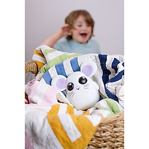 Where’s Squeaky Fun Interactive Preschool and Children - Educational Hide-and-Seek Mouse Game by Blue Orange Games - 2 to 10 Players for Ages 4+