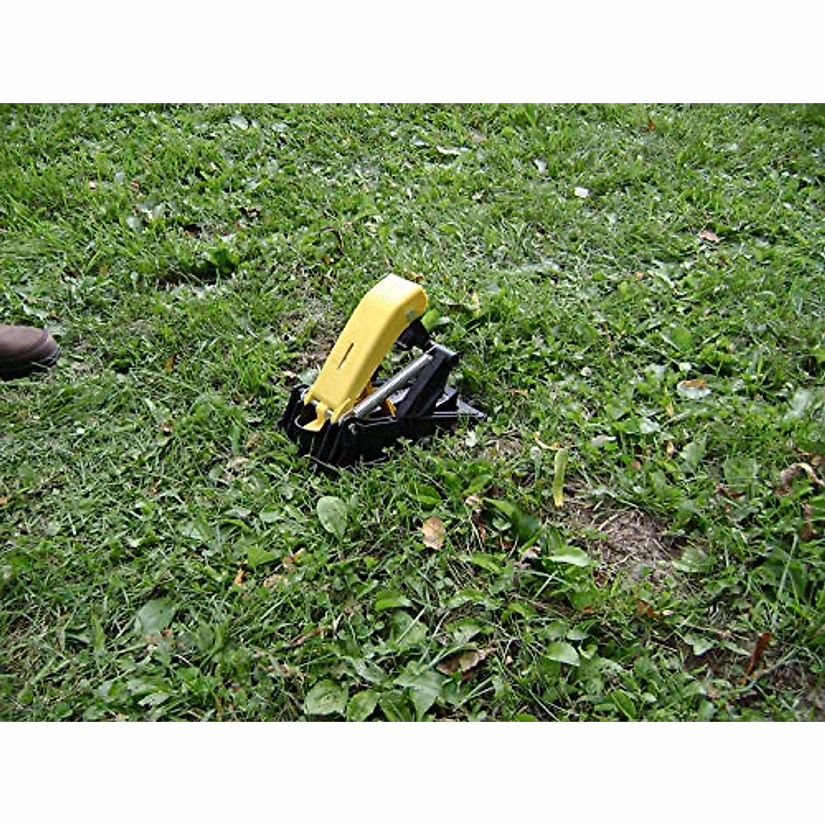 Tomcat Mole Trap, Innovative and Effective Mole Remover Trap Kills Without Drawing Blood, Reusable and Hands-Free, 2 Traps