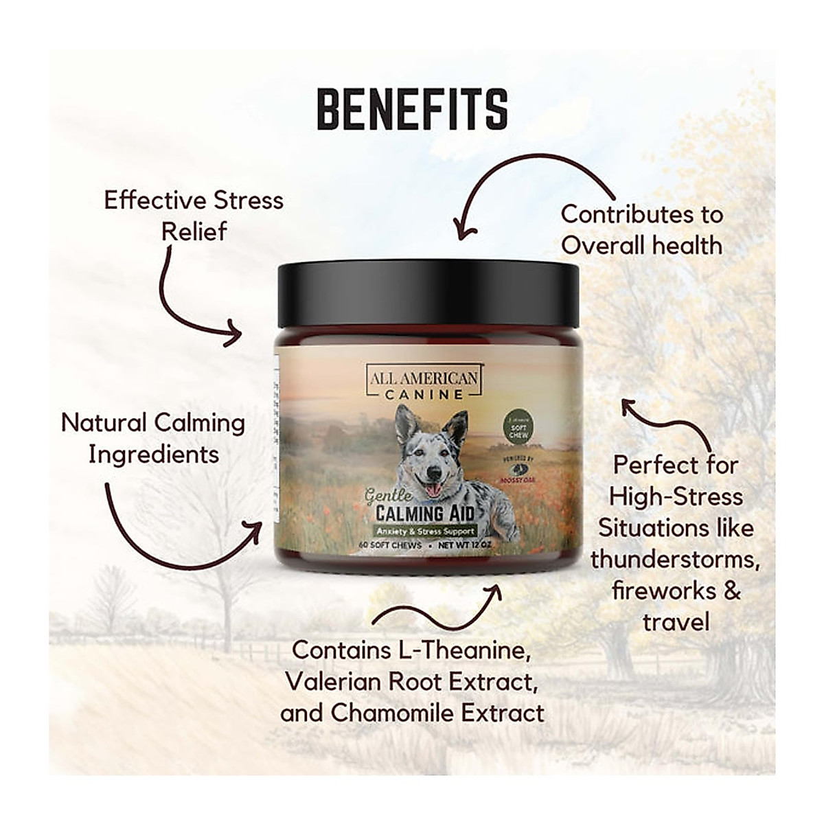 All American Canine Gentle Calming Aid Сhew for Anxiety and Stress Support in Working, Hunting, & Sports Dogs | 60 Soft Chews | Effective Stress Relief | Natural Calming Ingredients