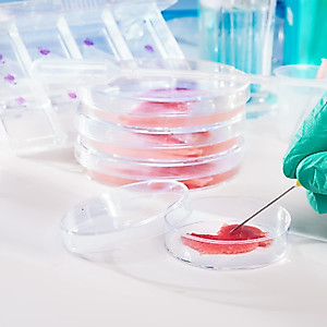 100 Pack - 25Ga 1 Inch Dispensing Tool with Luer Lock for Industry, Scientific Laboratory, Plant Cultivation Research, Liquids Refiling and Measuring(Individually Sealed Packed)