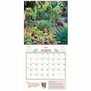 Secret Garden Wall Calendar 2022: A year of photographs that transport you to a garden sanctuary.