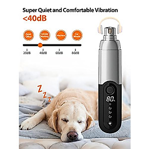 Toozey Dog Nail Grinder with 4 LED Lights, Professional 3-Speed Powerful Electric Dog Nail Trimmer with 2 Grinding Wheels, Dog Nail File Painless Paws Grooming for Small Medium Large Dogs & Cats