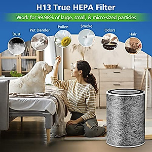 HC502 HP202 Air Purifier MAX Filter with True HEPA Compatible with Shark HC502 & HP200 Series HP202 HP201, HP302 & HP232, Cleans up to 99.97% of particles, Part # HE2FKBAS, # HE2FKBASMB, 1 Pack