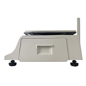 VisionTechShop DLP-300 Label Printing Scale Pole Display, 30/60lbs Capacity, 0.01/0.02lbs, NTEP Legal for Trade with a Free 1 case CAS LST-8010 UPC Label, 58 x 40mm