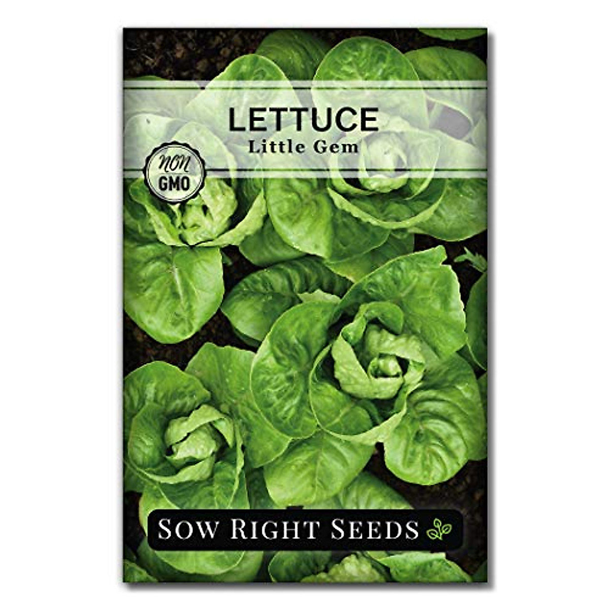 Sow Right Seeds - Large Lettuce Seed Collection for Planting - Buttercrunch, Jericho, Great Lakes, Salad Bowl, Little Gem, Giant Caesar and Lolla Rosa - Non-GMO Heirloom Seeds to Plant a Home Garden