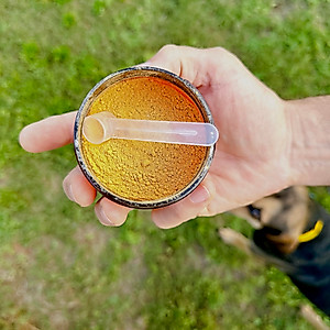 Gut Stuff by Helluva Dog — Digestive Aid Meal Topper for Active Sporting Dogs — Pumpkin & Slippery Elm for Dog's Upset Stomach & Better Gut Health, Packed with Fiber - 3oz