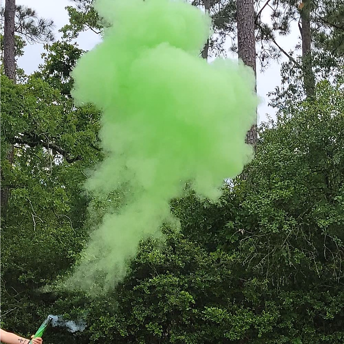 Gender Reveal Suprise! Powder Poppers, Safe, Colorful Cannons for Birthdays, Weddings, Anniversaries, and More, Easy to Use, Memorable Photos, 12' (Green, 2 Pack (12 Inch))