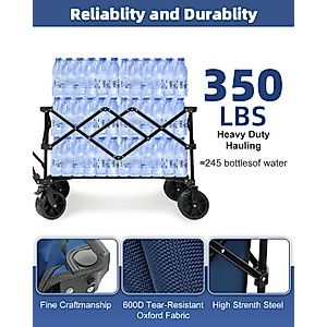 LifeImpree Collapsible Foldable Wagon, Beach Wagon with All Terrain Wheels, Heavy Duty Folding Utility Garden Cart, Adjustable Handle, 350LBS Capacity for Camping, Grocery, Sports, Shopping, Outdoor